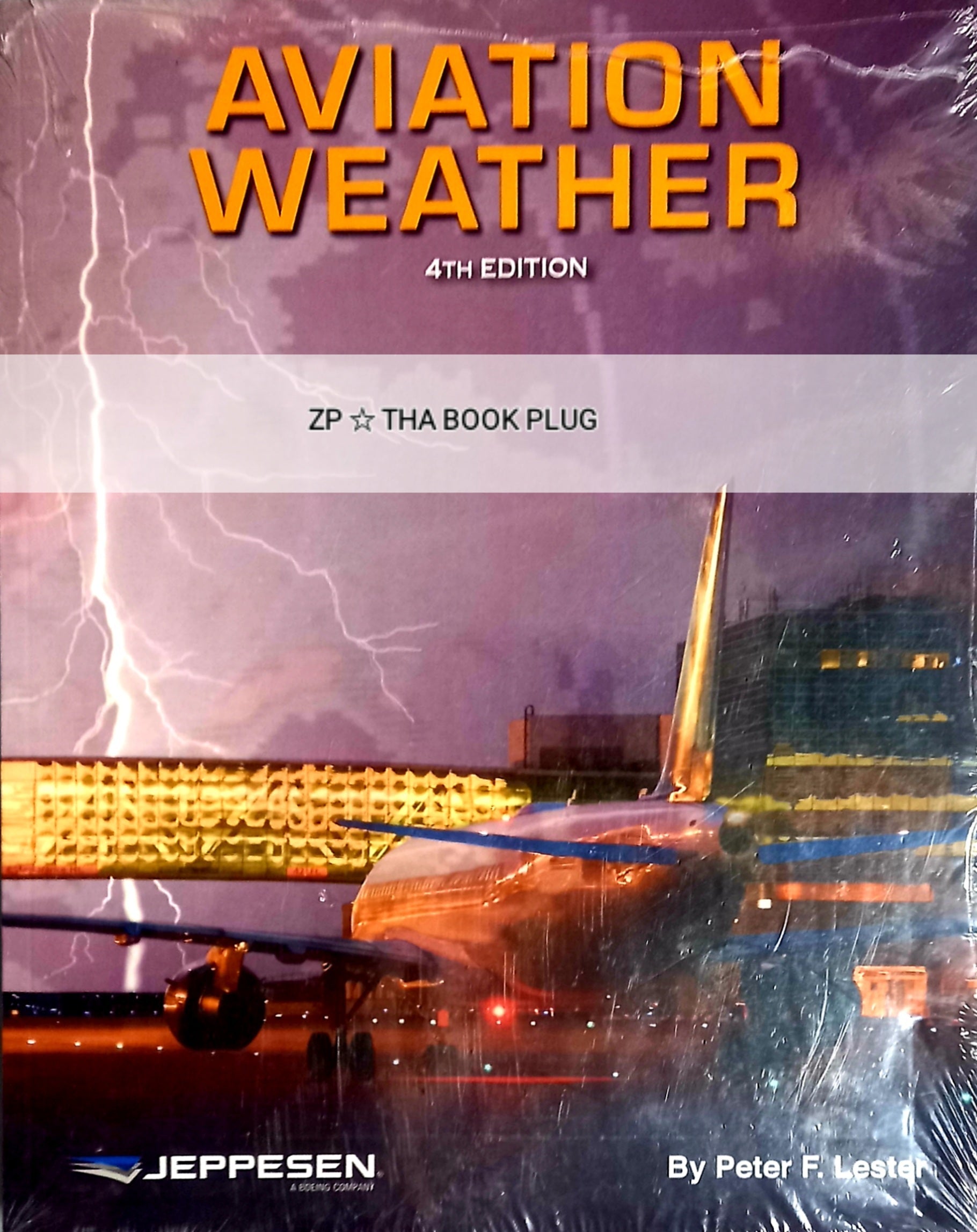 Jeppesen Aviation Weather by Jeppesen – Bust-Down Books
