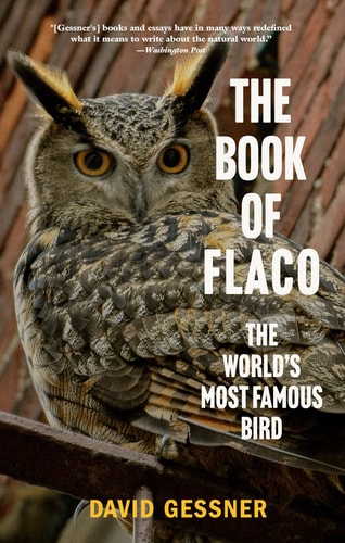The Book of Flaco by David Gessner – Bust-Down Books